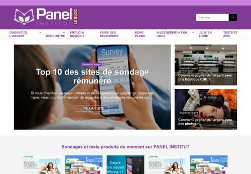 Panel institut - Sondages, enquêtes | Avis Site