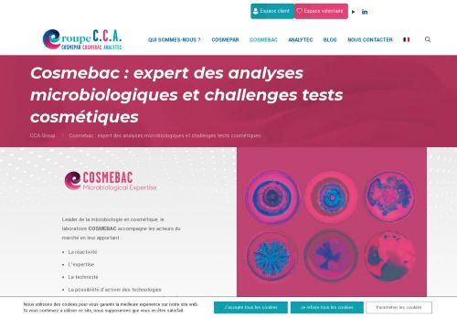 Cca group | Avis Site