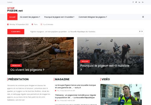 Stop Pigeon | Avis Site